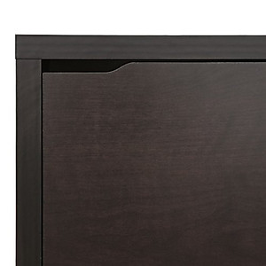 Baxton Studio Simms Modern Shoe Cabinet, Dark Brown