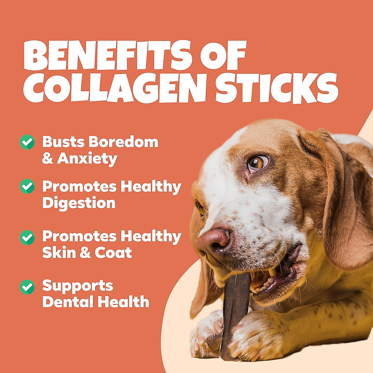 Benefit Pet Products Collagen Sticks for Dogs - Single Ingredient Dog Treat, Rawhide Free, Collagen Chews for Dogs, Long Lasting Dog Chew, Alternative to Bully Sticks (6 inch, 5 Sticks)