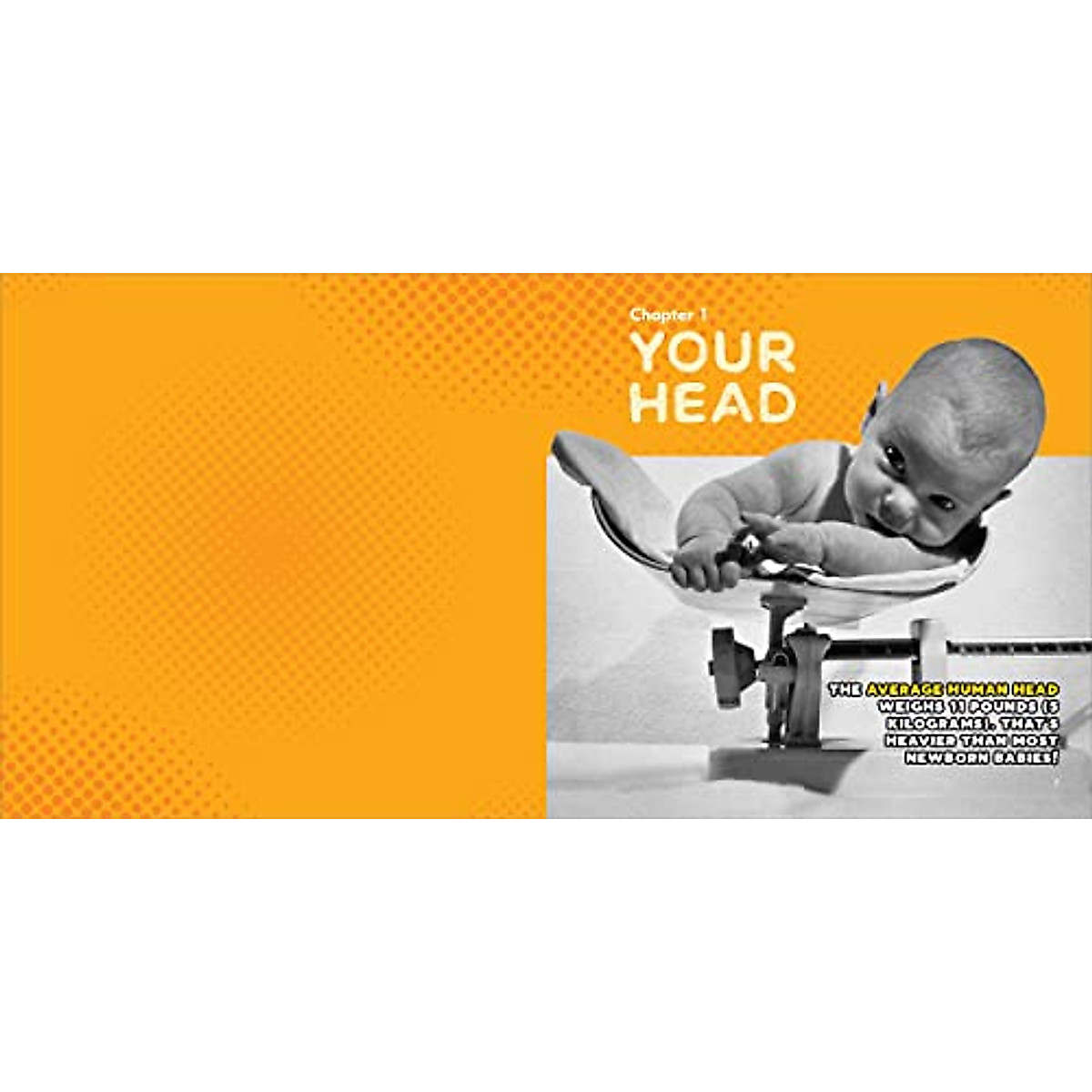 The Fascinating Human Body Book for Kids: 500 Phenomenal Facts! (Fascinating Facts)