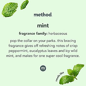 Method Glass Cleaner, Mint, 28 Ounces
