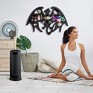 Stylitzy Wooden Floating Shelf Dragon Design Unique Room Decor Crystal & Rock Display Shelf, Floating Wall Shelves with Dragon Design for Rocks, Crystals, Oils, Stones, Plants(14x9.4inches