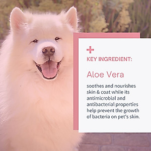 SensoVet Tear Stain Remover Eye Wipes for Dogs & Cats, Cleans Eye Boogers and Gunk Discharge, Facial Cleansing with Aloe Vera (Fragrance Free)