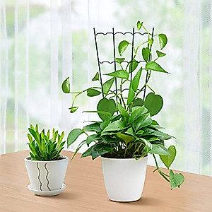 HiGift 4 Pack 24'' Garden Trellis for Climbing Plants Outdoor, Plant Trellis for Climbing Plants Indoor, Metal Plant Stakes Plant Trellis for Houseplant Vine Ivy Flowers