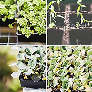 Seed Starter Kit with 100 Peat Pots for Seedlings Seed Starter Tray, Including 100 Square Biodegradable Seed Starter Pods, 5 Plastic Growing Trays & 20 Plant Labels