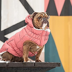 GF Pet Pink Super Puff Dog Parka, Medium