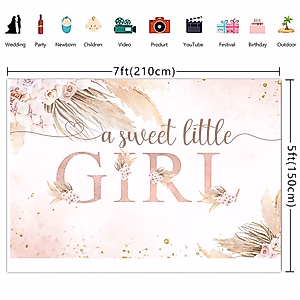 Ticuenicoa 7x5ft Boho Pampas Girls Baby Shower Backdrop A Sweet Little Girl Is On The Way Baby Shower Party Banner Wall Decorations Boho Pink Floral Glitter Dots Girls Baby Shower Background
