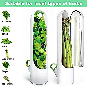 plplaaobo Herb Keeper, Freshest Herb Savor Fridge Organizer, Herb Storage Cilantro Containers for Refrigerator, Savor Keeps Greens Preserver for Cilantro, Parsley, Basil, Chives, Mint for 2-3 Weeks