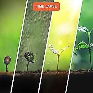 Rexing TL1 Time-Lapse Camera 2.4” LCD 1920x1080 Full HD Video 110° Wide-Angle Lens 6 Month Battery Life 2W White LED Loop Recording, Storage up to 512GB For Photography,Construction,Nature Observation