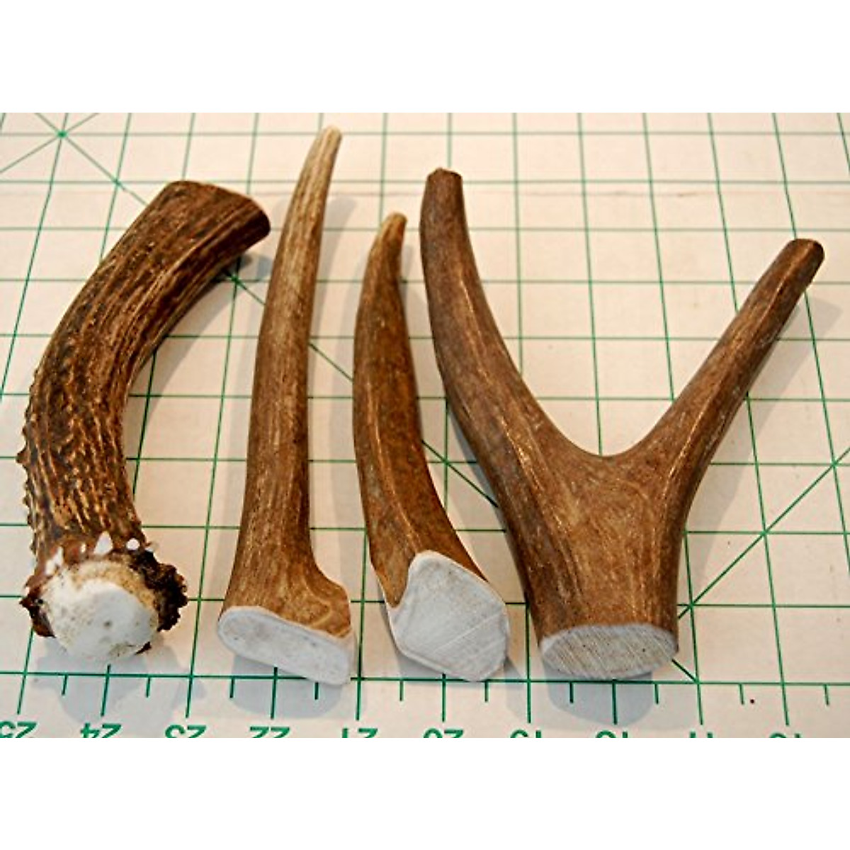 Premium Deer Antler Pieces - Dog Chews - Antlers by The Pound, One Pound - Six Inches or Longer - Medium, Large and XL - Happy Dog Guarantee!