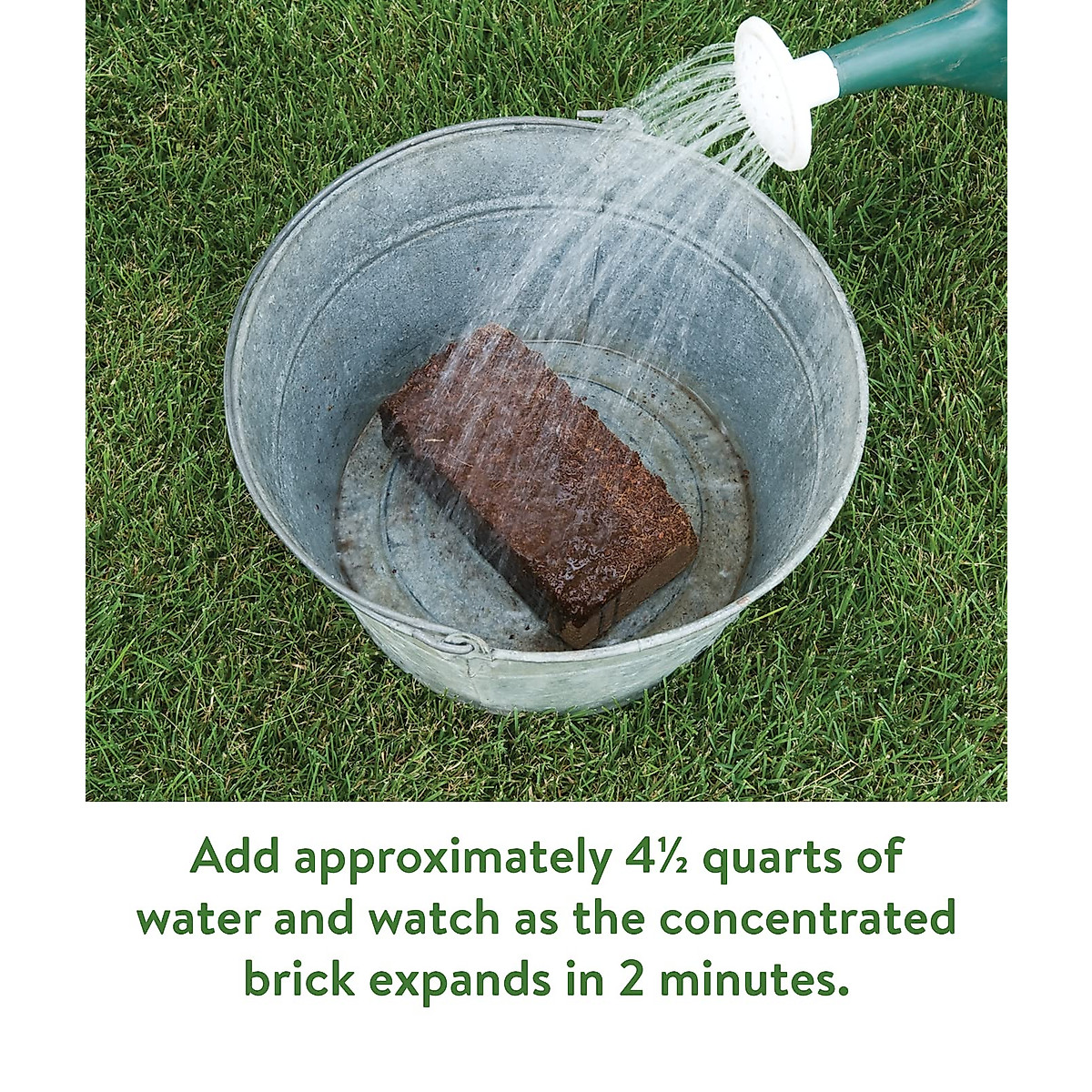 Burpee Organic Coconut Coir Concentrated Seed Starting Mix, 16 Quart