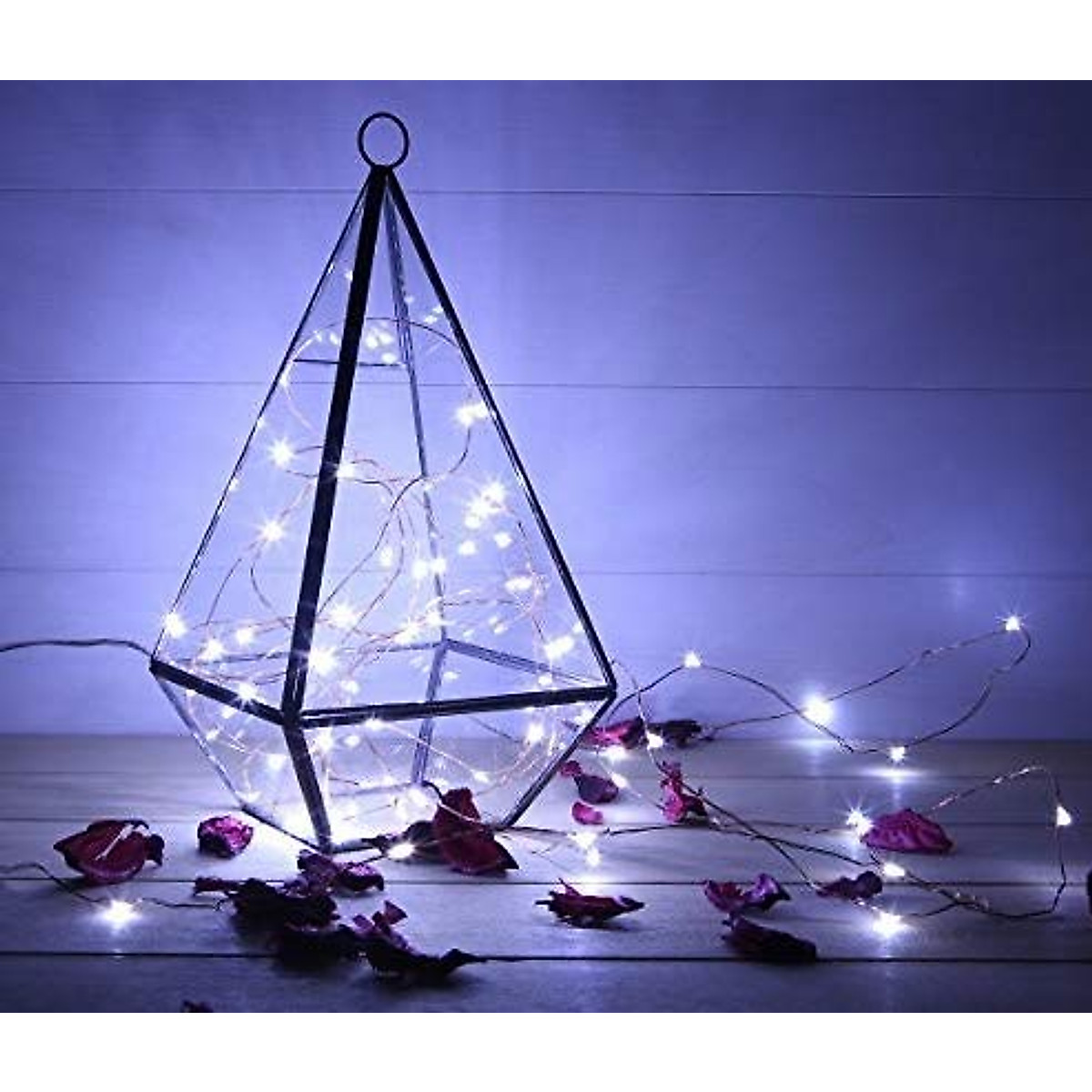 Gift Expressions Cool White 10 Pack of 20 LEDs Mini Bulb Battery Operated, 10ft/3m,Corridor, Patio, Garden, Photo Frame, Bedroom Home Crafts (10 Pack)