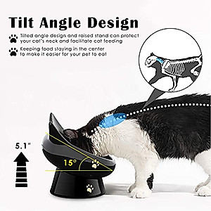 Raised Food Bowls Anti Vomiting,Tilted Elevated Ceramic Bowl for Flat-Faced Cats,Small Dogs,Protect Pet's Spine,Dishwasher Safe,Black and White, 2pcs