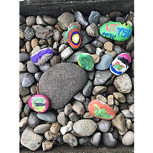 Rock Painting for Arts & Crafts; 12 Non-Toxic Fun Colors; 2 Brushes; 10 Rocks to Inspire Creativity and More; Great as Kids Gift;