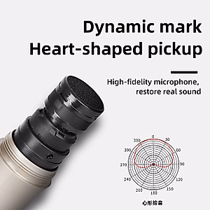 Professional 6 Channel Bluetooth USB Audio Mixer Mixing Console with 2 Handheld Wireless Microphone for Home Studio Recording DJ Network Live Karaoke - Depusheng GM6X