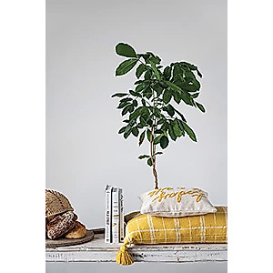 Creative Co-Op Embroidered Cotton Lumbar Today is A Gift in Script Pillow, Cream & Mustard