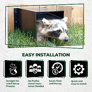 Rhino Excluders® Prochute™ Excluder One Way Door for Removal of Raccoons, Skunks, Opossums, Groundhogs and Rabbits - Black