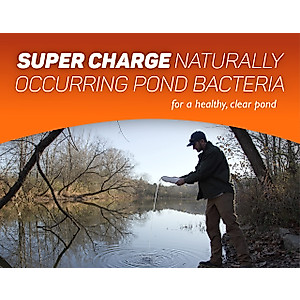 Crystal Blue Natural Pond Cleaner - Muck and Sludge Remover, Safe for Koi - 1 Gallon