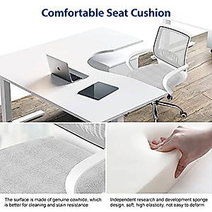 PPW Office Chair,Ergonomic Dual Backrests,Desk Chair Back Support, Best Office Chair for Posture, Mesh Office Chair,(Cushion is Light Gray)