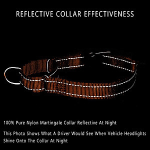 PLUTUS PET Reflective Martingale Collar with Quick Snap Buckle,No Pull Dog Choker Collar for Small Medium Large Dogs,L,Orange