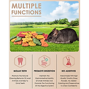 Bissap 32PCS Bunny Chew Toys, Mixed Natural Timothy Hay Pumpkin Strawberry Carrot Chinchillas Chewing Toys and Treats for Rabbit Bunny Guinea Pig Hamster Gerbil and Other Small Animals Molar Snacks