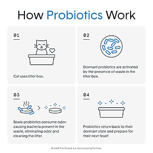 Boxie® Probiotic 40 Day Natural Odor Control Cat Litter, 11.5lb Lightweight Plant Based Kitty Litter