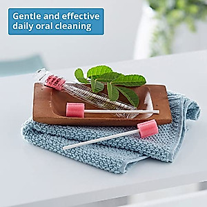 McKesson Oral Foam Swabs with Dentifrice, Gentle and Daily Oral Cleaning, Mint, 250 Count, 1 Pack