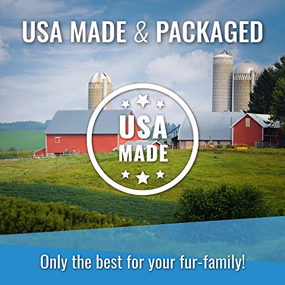 Vital Essentials Freeze Dried Cat Food, Chicken Dinner Patties 8 oz