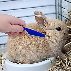 4 Pieces Bunny Grooming Kit with Rabbit Grooming Brush Pet Hair Remover Pet Nail Clipper Pet Comb Shampoo Bath Brush with Adjustable Ring Handle for Rabbit Hamster Bunny()