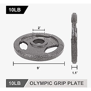 LIONSCOOL 2-Inch Olympic Grip Plate in Pairs or Single (10LB PAIR)