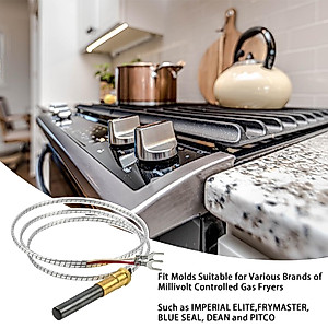 1950-001 Robertshaw Thermopile 36" 250-750 Millivolts MV 2 Lead with PG9 Adapter