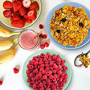 Epahi Wheat Straw Bowls Sets, 60 OZ Unbreakable Cereal Bowls Set of 4, Lightweight Microwave Dishwasher Safe Bowls, Reusable Large Bowls for Serving Soup Salad