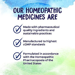 Boiron Histaminum Hydrochloricum 30C Homeopathic Medicine For Indoor Or Outdoor Allergy Relief, Hay Fever, And Hives - 80 Count (Pack of 3)