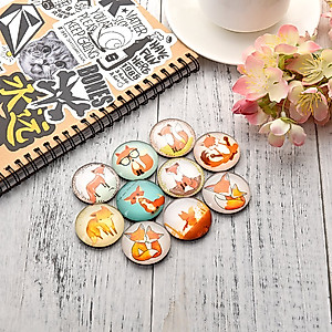 FF Elaine 10 Pcs Fridge Magnets Crystal Glass Housewarming Home Decorations Gift (Fox)