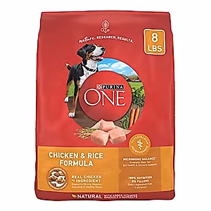 Purina ONE Chicken and Rice Formula Dry Dog Food - 8 lb. Bag