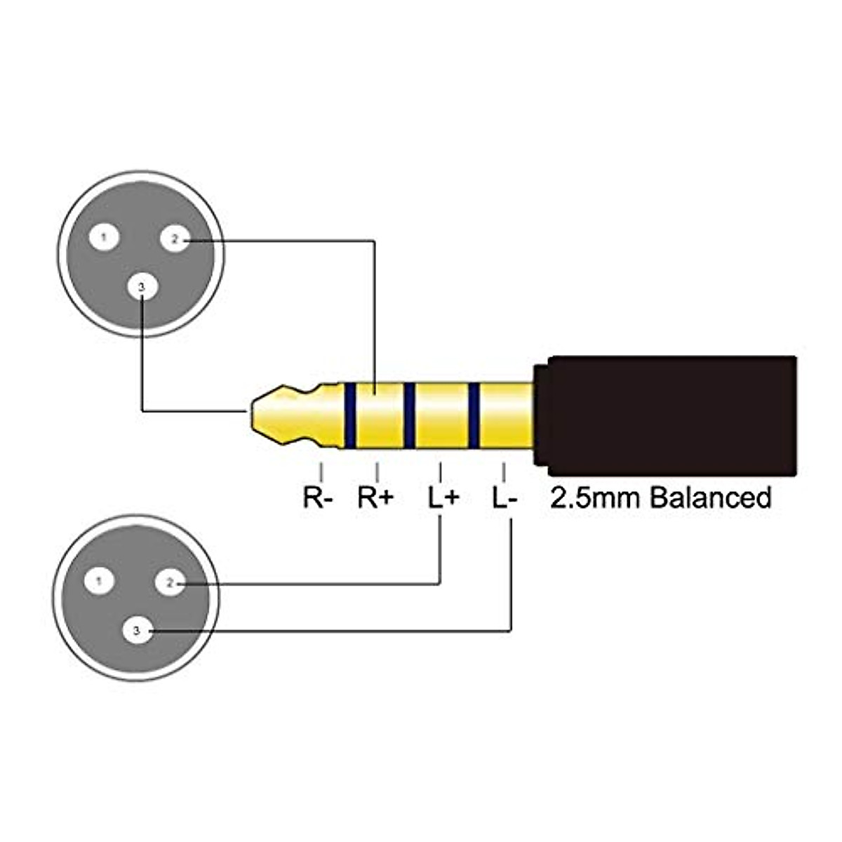 Youkamoo 2.5mm Trrs to Dual XLR Male Cable Balanced Audio Headphone Adapter Cable 1 FT 0.3M