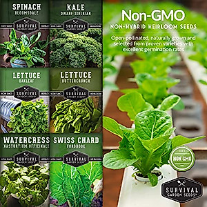 Hydroponics Vegetable Seed Collection for Planting - Watercress, Spinach, Siberian Kale, Swiss Chard, Buttercrunch, Oakleaf Lettuce Varieties to Grow Indoors Non-GMO Heirloom Survival Garden Seeds