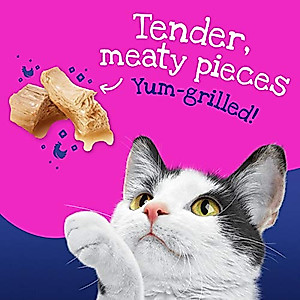 Purina Friskies Gravy Wet Cat Food Variety Pack, Stuf'd & Sauc'd with Chicken, Salmon & Shrimp, Tuna & Turkey - (24) 5.5 oz. Cans