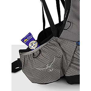 Osprey Exos Pro 55L Men's Backpacking Backpack, Dale Grey/Agam Blue, S/M