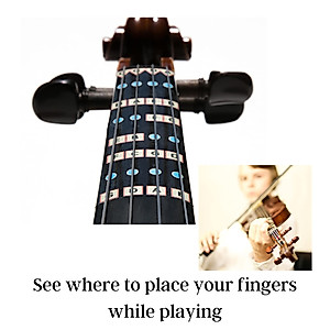 Fantastic Finger Guide for Violas | Stringed Musical Instruments | Fingerboard and Fretboard Stickers for Learning All Notes | Kids/Adult Beginner Viola Finger Guide |15.5" Size