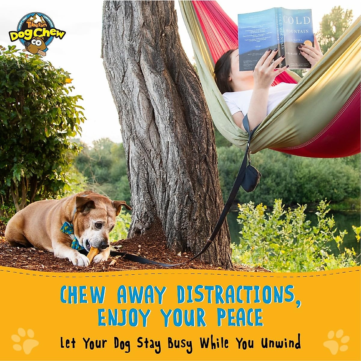 Tibetan Dog Chew Yak Cheese Sticks - Natural Treats for Small to Large Dogs, Lasting, Digestible, Promotes Dental Health, Rawhide and Grain-Free, Ideal for Aggressive Chewers, 15-Pack