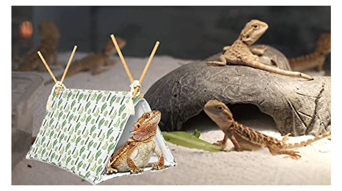 Bearded Dragon Tent Bed | Cozy Cactus Reptile Hideout