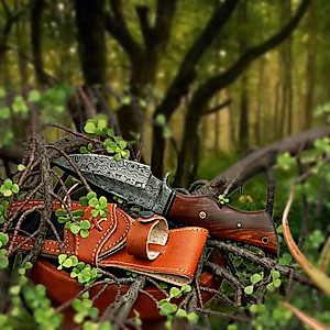 Handmade Hunting Knife Bushcraft Fixed Blade Knife Damascus Steel Survival Knife Fix Blade Knife Camping Knife EDC 10'' Overall Rose Wood With Leather Sheath