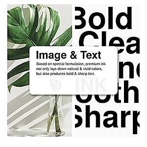 Economink 61 Ink Cartridge Combo Pack, Remanufactured Replacement for HP 61XL for OfficeJet 4630 4635 2620 DeskJet 2540 3050 2050 1000 1010 1510 3510 Envy 4500 5530 4502 4501 (1 Black 1 Color)