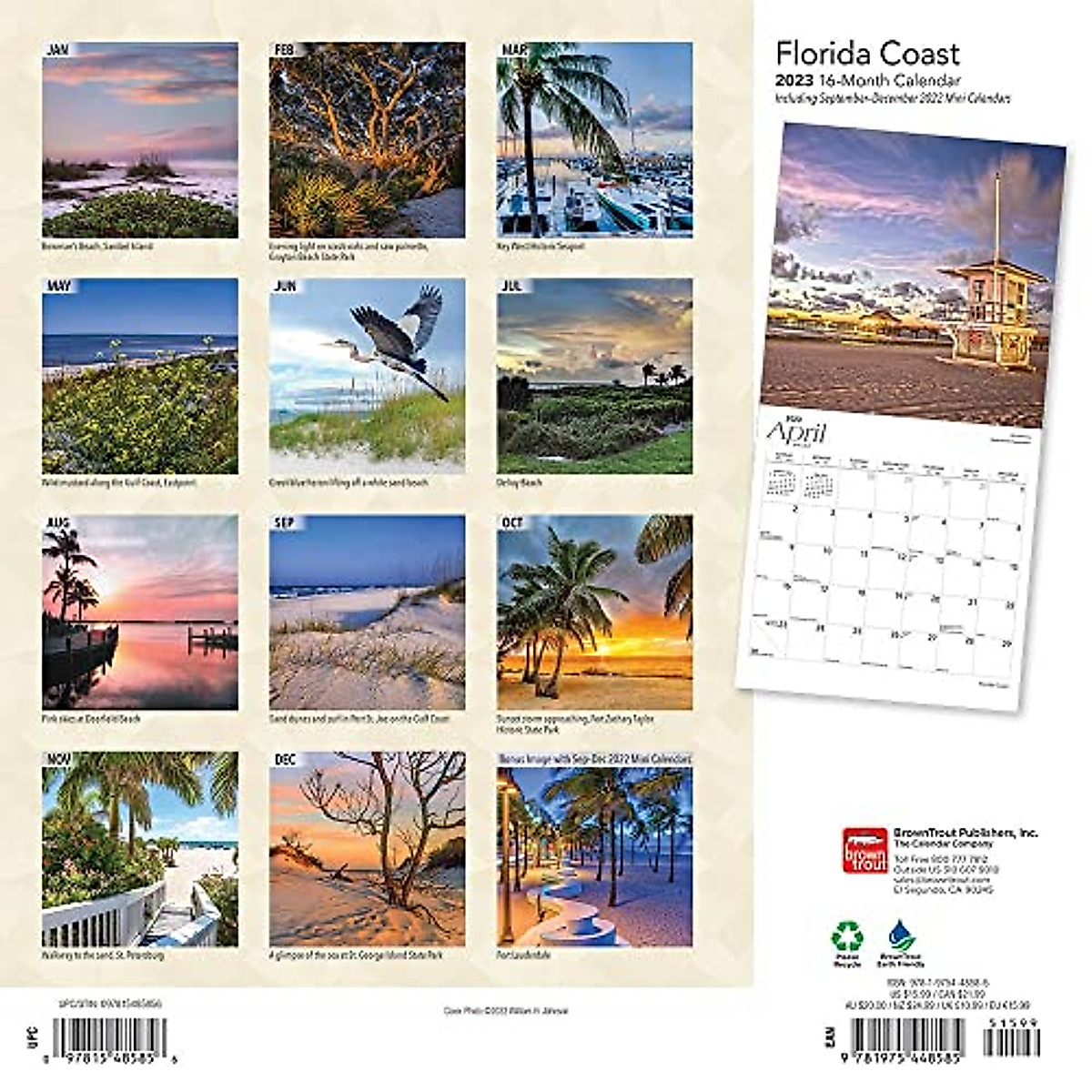 Florida Coast | 2023 12 x 24 Inch Monthly Square Wall Calendar | Foil Stamped Cover | BrownTrout | USA United States of America Southeast State Nature