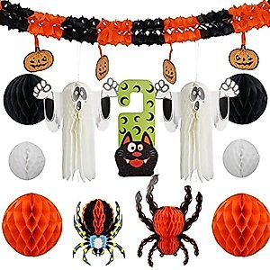 VIEUE Halloween Party Decorations Set Including Honeycomb 3D Wall Spider Ghost and Trick or Treat Door Ornaments for Halloween Decor 12pcs