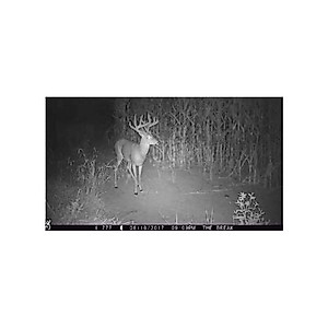 Browning Trail Cameras Strike Force Extreme 16MP Game Camera Bundle with 32GB SD Card and USB Card Reader (3 Items)