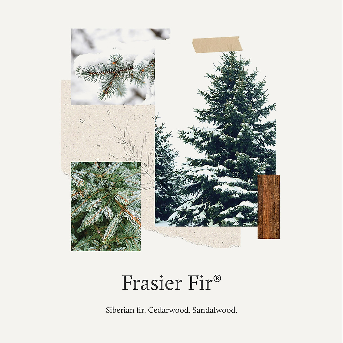 Thymes Laundry Detergent - 32 Fl Oz - Frasier Fir