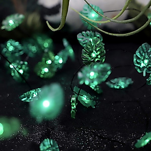 MIYA LIFE Ocean Light for Beach Decor Battery Operated Beach Decorations for Home Beach Room Decor Coconut Girl Room Decor (Tropical Fairy)