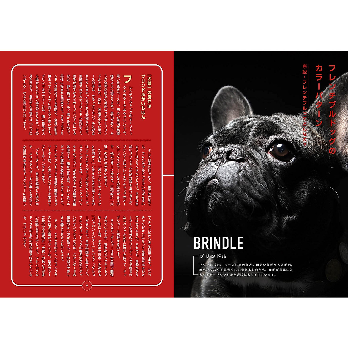 BUHI MANIACS vol.4 フレンチブルドッグの教科書 (BUHI MANIACS vol. 4)