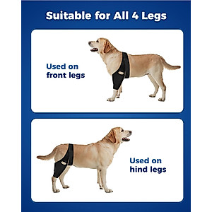 Huimpet Dog Hip Knee Leg Brace Dog ACL Brace for Front Torn and Back Hind Rear Legs ACL Tear, Dog Leg Brace for Hip Dysplasia, Dog Arthritis, Luxating Patella, Comfortable and Adjustable (M-Size)